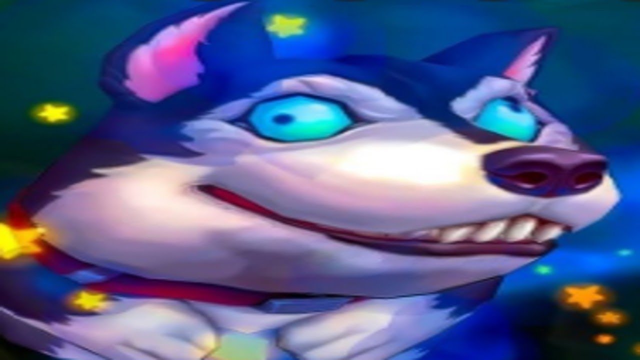 fizz.exe(dog) - YouTube