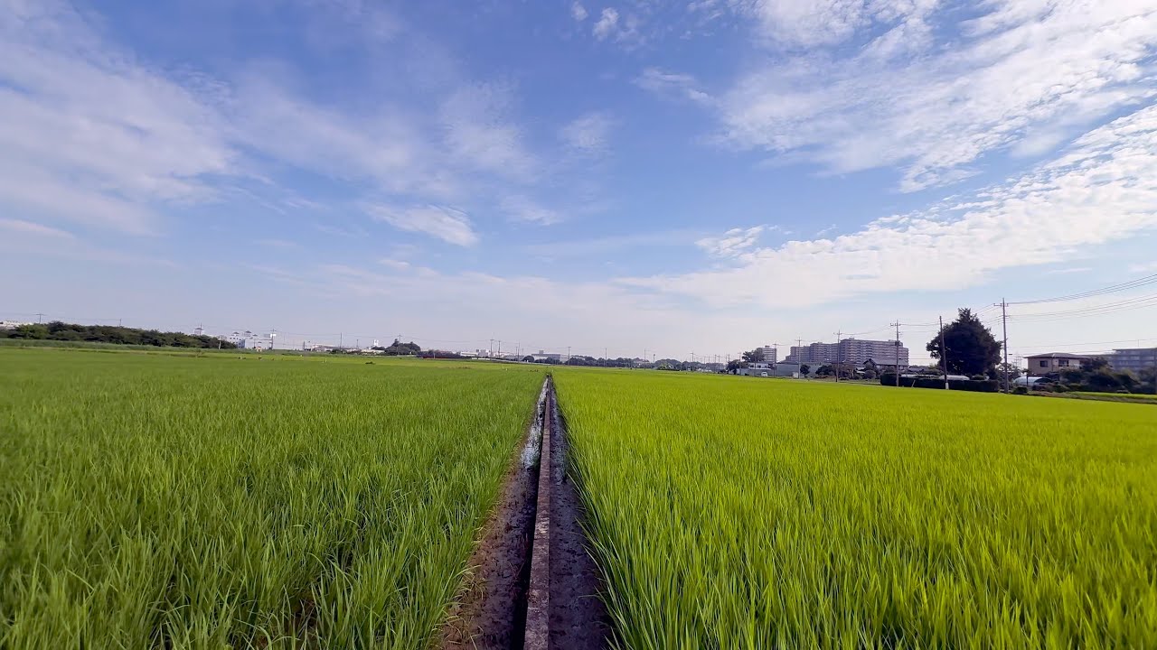 Summer walking tour countryside village in Saitama Japan | 4K HDR Japan ...