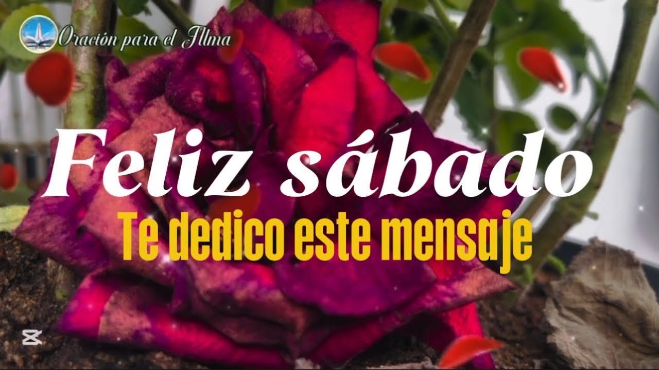 Buenos días Feliz sabado abrelo tiene un bello mensaje - YouTube