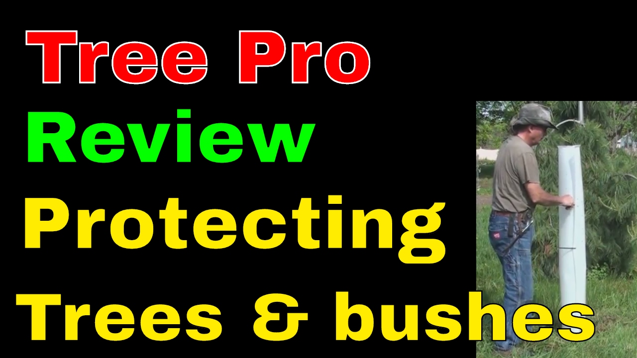 TreePro Tree tubes protecting perennial bushes and trees Tree guards ...