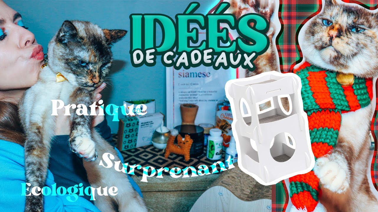 Cadeaux Chat-chic : La Suite de MES IDÉES DE NOËL pour chat ! 🐱 - YouTube