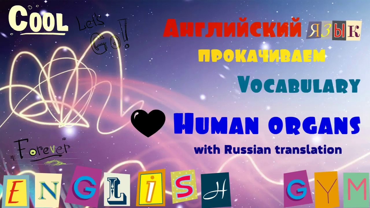 Human Organs with Russian Translation (Органы человека на английском ...