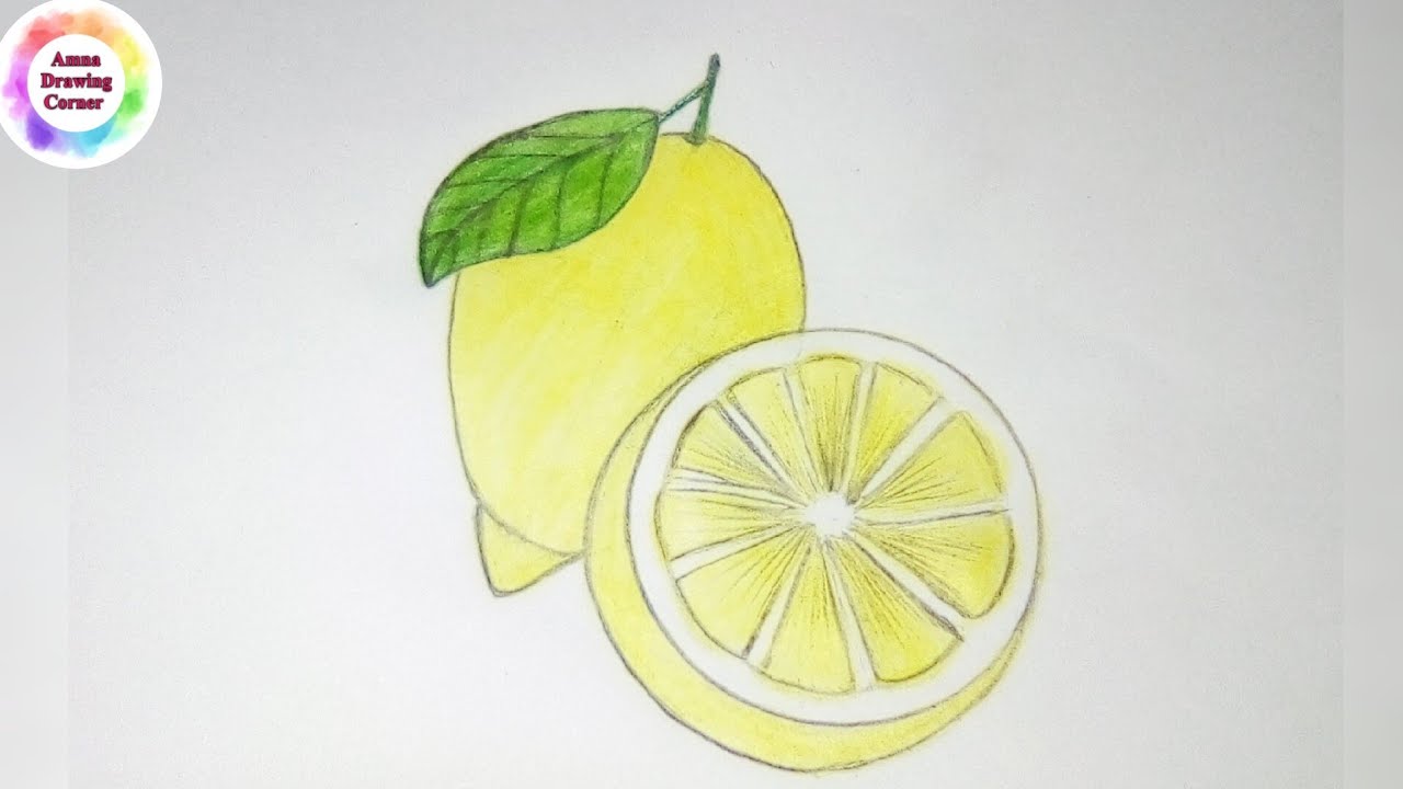 How to draw lemon step by step | Easy drawing for beginners | - YouTube