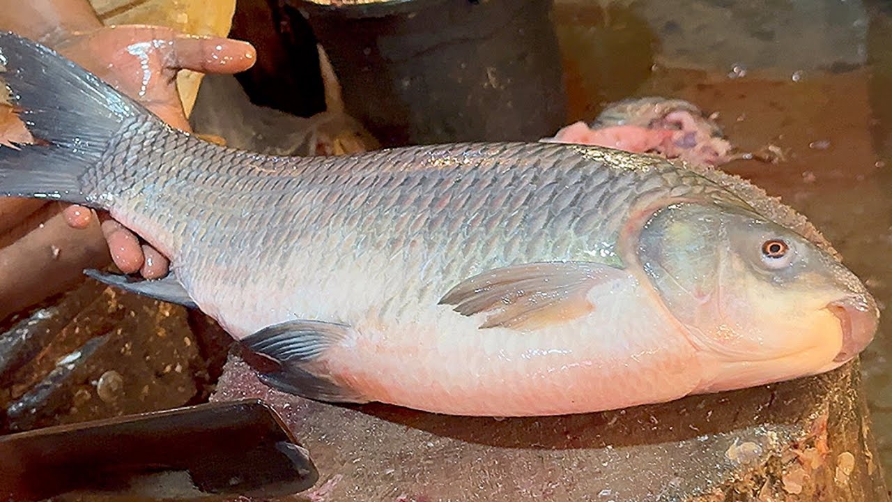 Great Black Rohu Carp Fish Cutting Skills Live In Bangladesh Fish ...
