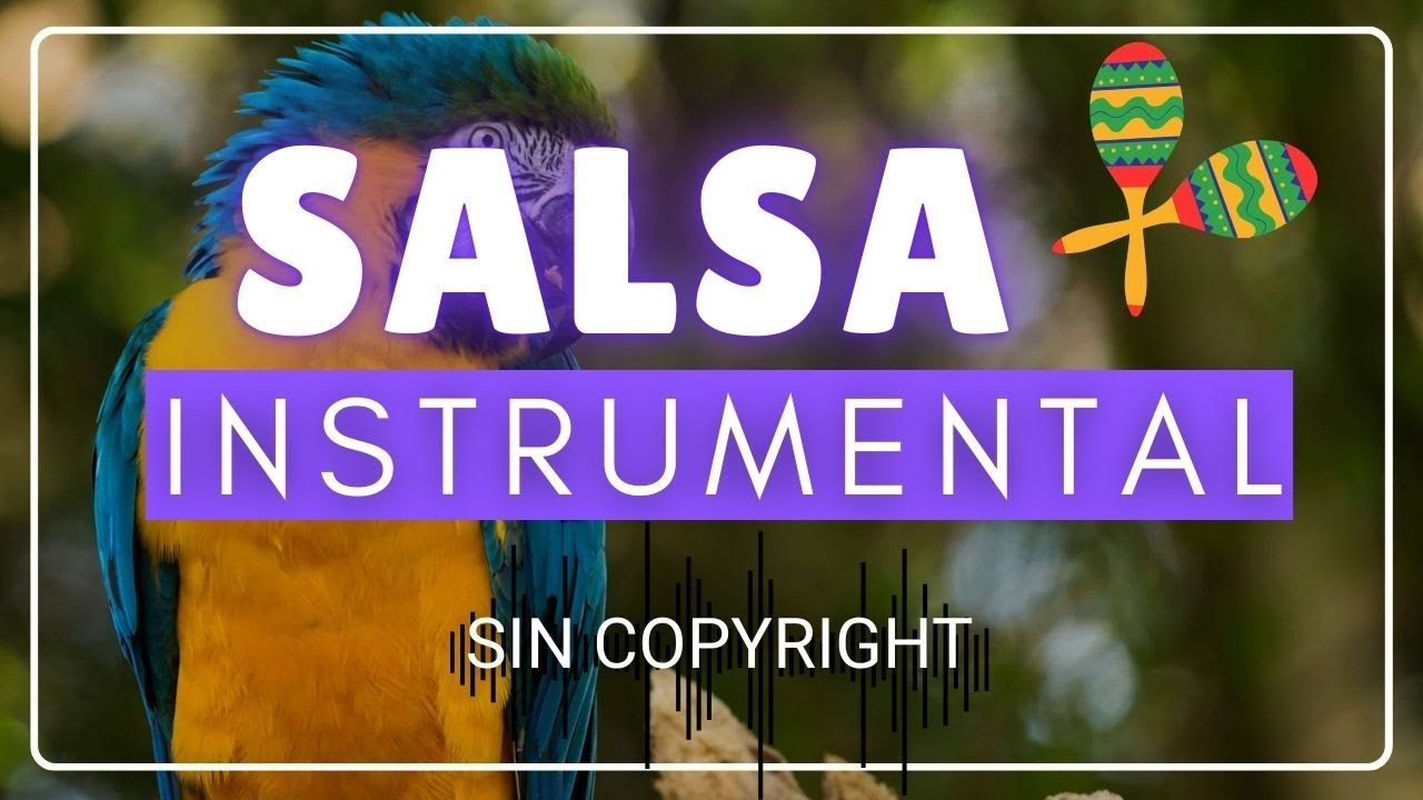 💃 Salsa Instrumental Clásica | Ritmo Caribeño para Bailar & Improvisar ...