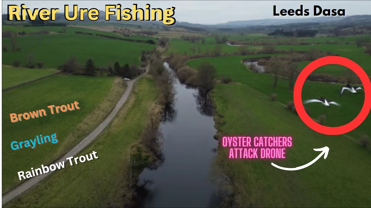 RIVER URE FISHING GRAYLING RAINBOW TROUT LEEDS DASA Oyster Catchers ...