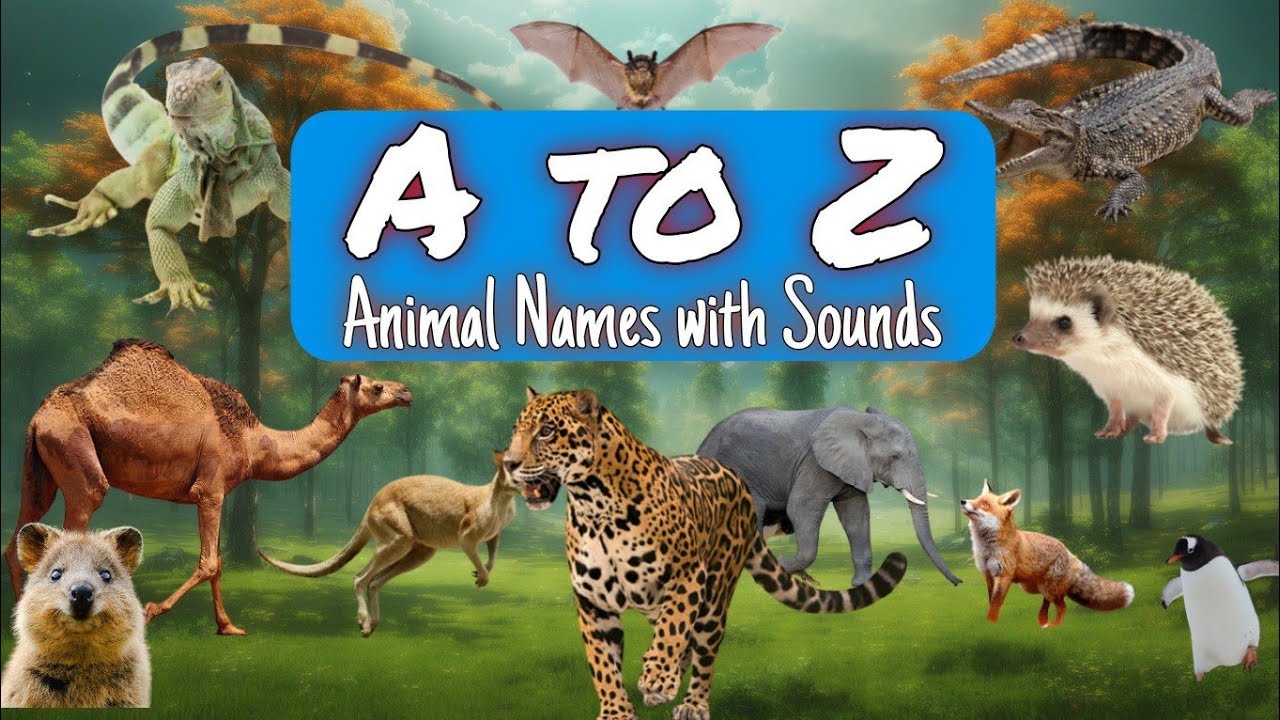 A to Z Animal Sounds Adventure for Kids | Learn Animal Names and Sounds ...