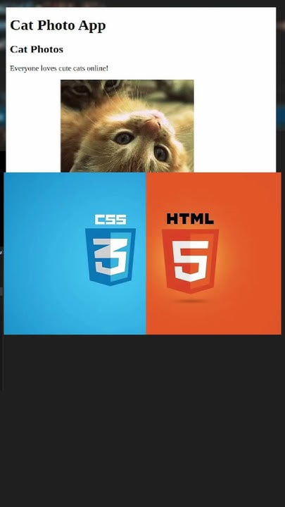 Day 23 30 day coding challenge #softwareengineer #coding #code #javascriptcoding #visualart # ...