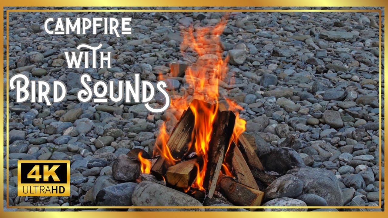 2Hh of Relaxing Campfire with Bird Chirping in 4K UHD – Crackling Fire ...
