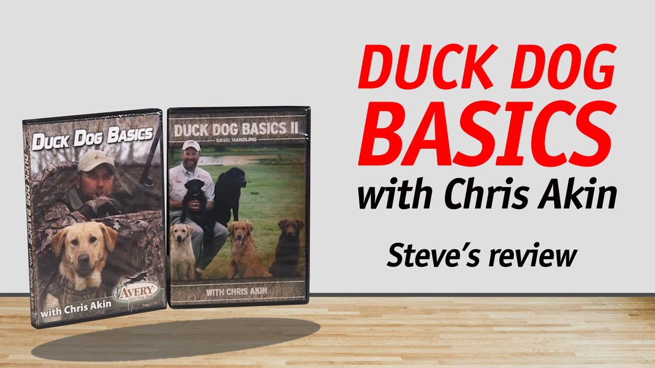 Chris Akin: Duck Dog Basics DVDs - YouTube