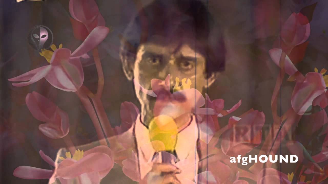 Zahir Howaida Pashto song -- concert in Kabul - YouTube