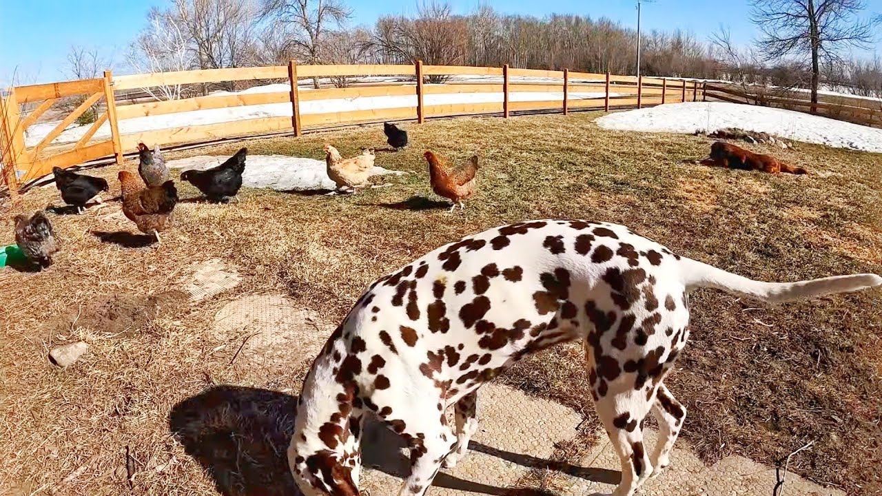 ENDLICH FRÜHLING!!! - UHiK #266 - YouTube