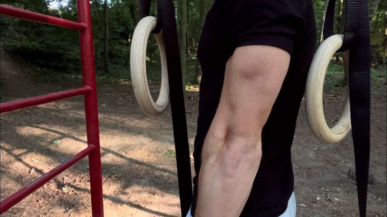 Full Calisthenics Circuit To Get Huge Arms Youtube