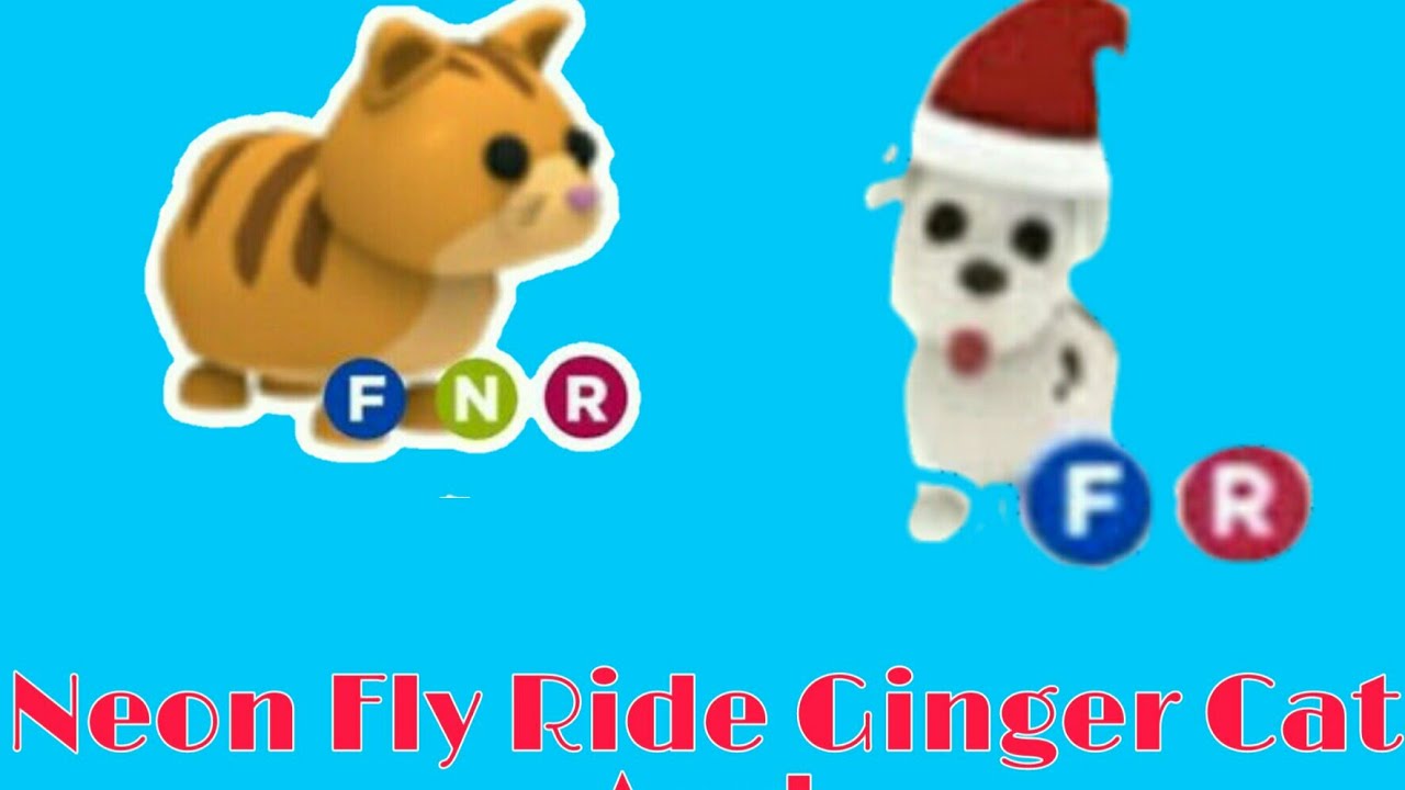 Neon Fly Ride Ginger Cat And Fly Ride Santa Dog Giveaway!:O(NFR Frost ...