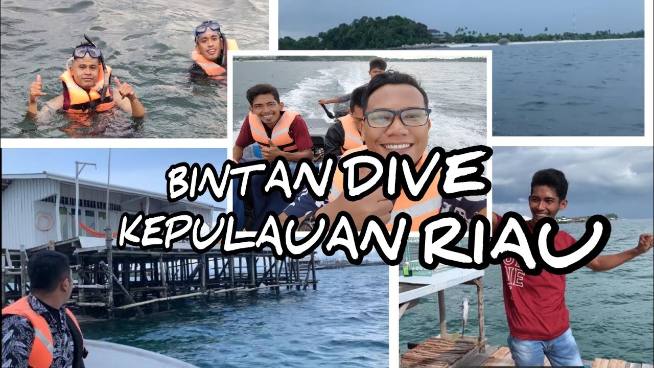 #VLOG 1 - "BINTAN DIVE", HEALING MURAH DI KAWASAN TRIKORA BINTAN - YouTube