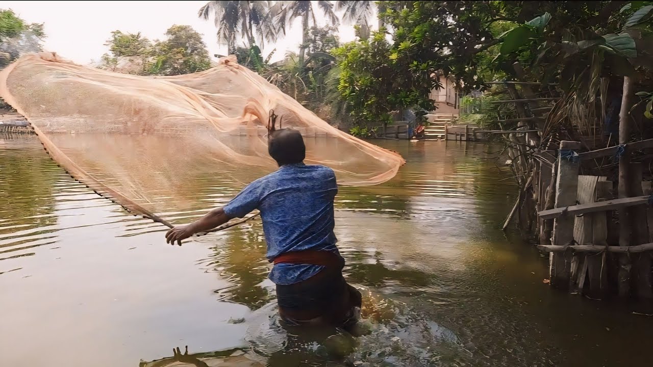 Village Net Fishing||Fisherman Catching Fish With A Cast Net ...