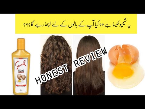 Samsol Egg Shampoo Honest Review | Best Shampoo for Hair Fall - YouTube