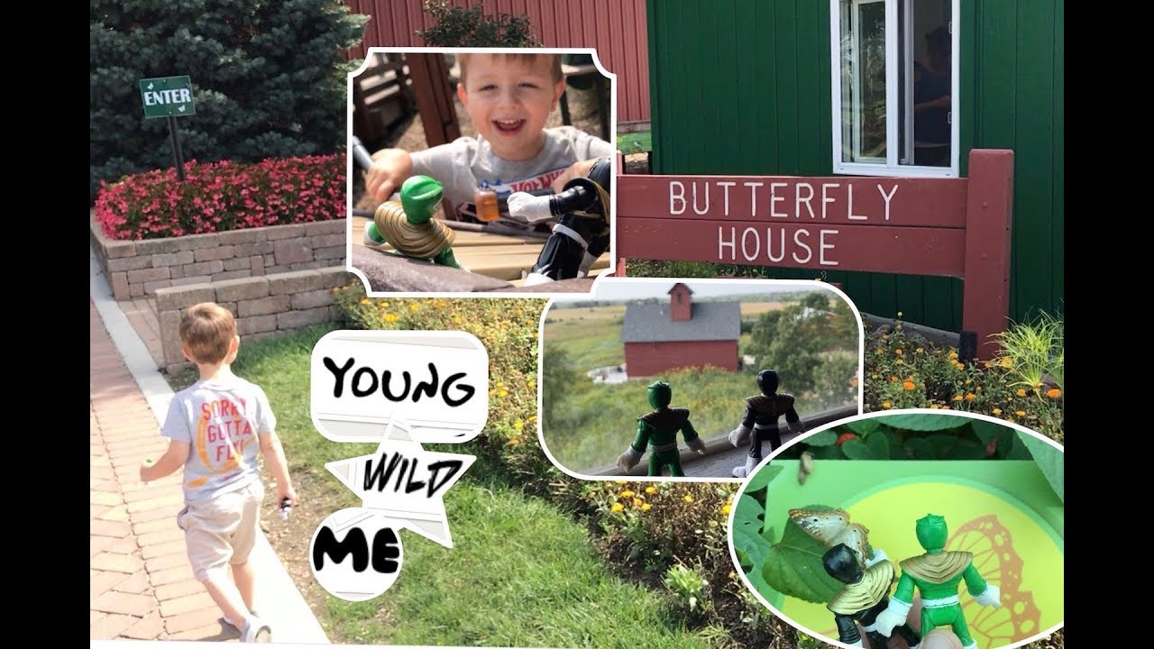 Power Rangers Go To The Park & Butterfly Garden Go Go Power Rangers ...