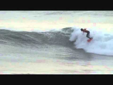 Bobcat AND Beaver Surfing Santa Cruz - YouTube