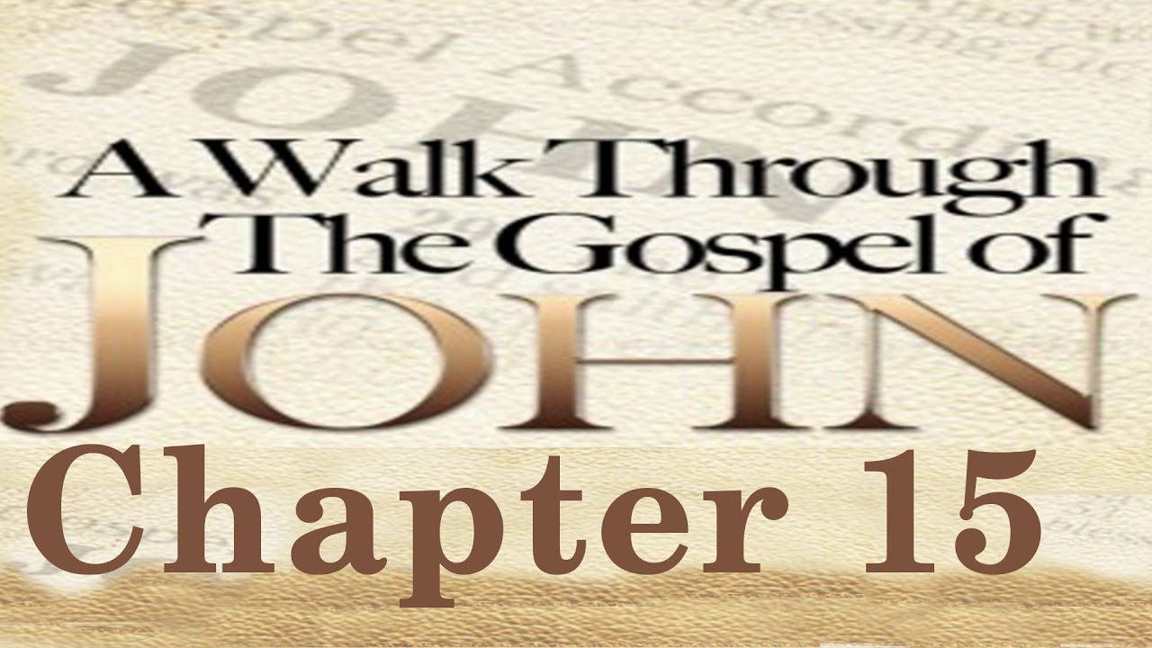Gospel of John Chapter 15 - YouTube