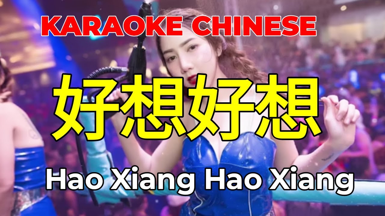 KARAOKE REMIX 好想好想 l Hao Xiang Hao Xiang l VietHoa Karaoke - YouTube