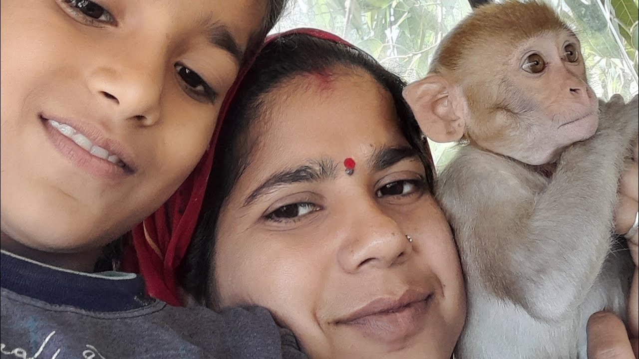 Bhaisa buggi Kaise chalayen new driveri video Varsha Bulbul family ...