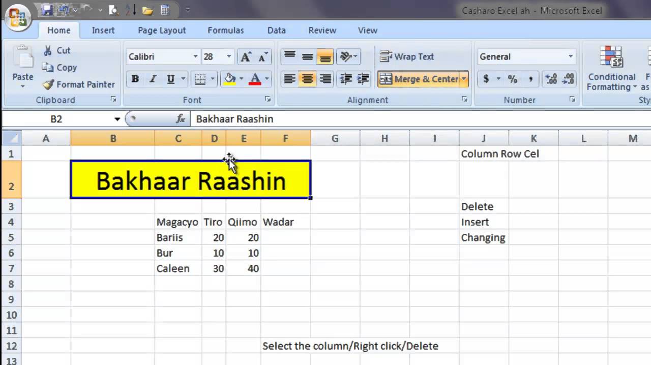Lesson 07 Formating Text - Microsoft Excel 2007 - Sahalsoftware - YouTube
