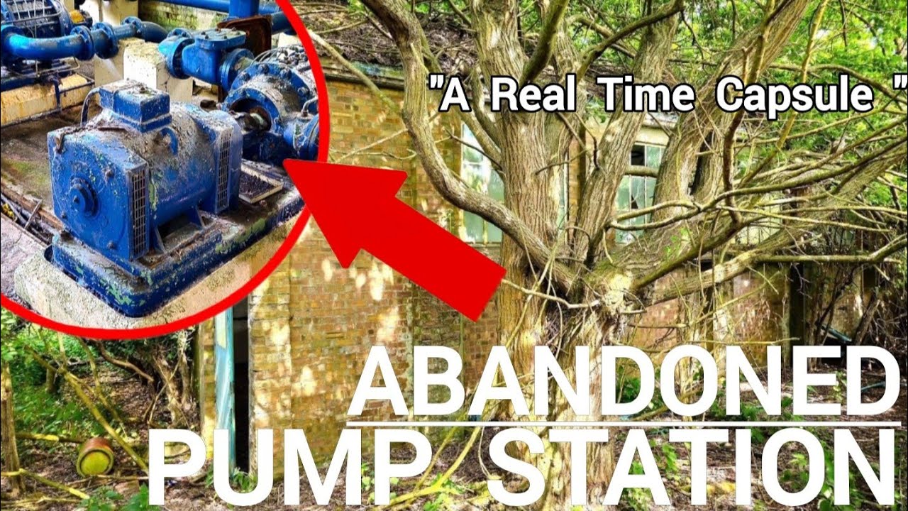 🔎💧Incredible Time Capsule Found Hidden in Woodland - YouTube