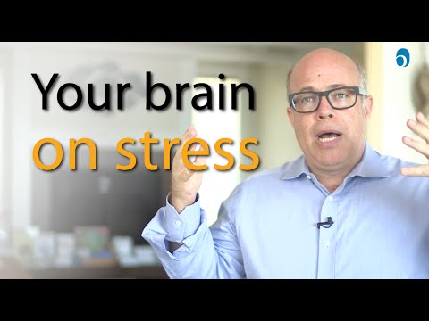 How Your Brain Deals with Rising Stress: Emotional Intelligence Needed!