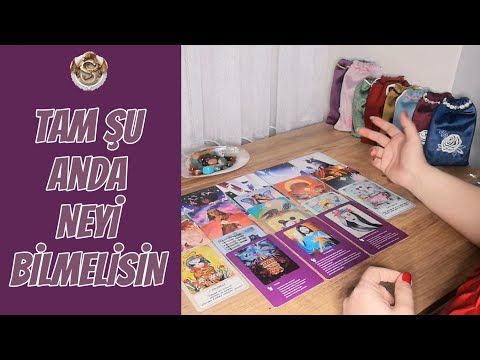 TAMDA ŞU ANDA NEYİ BİLMELİSİN?