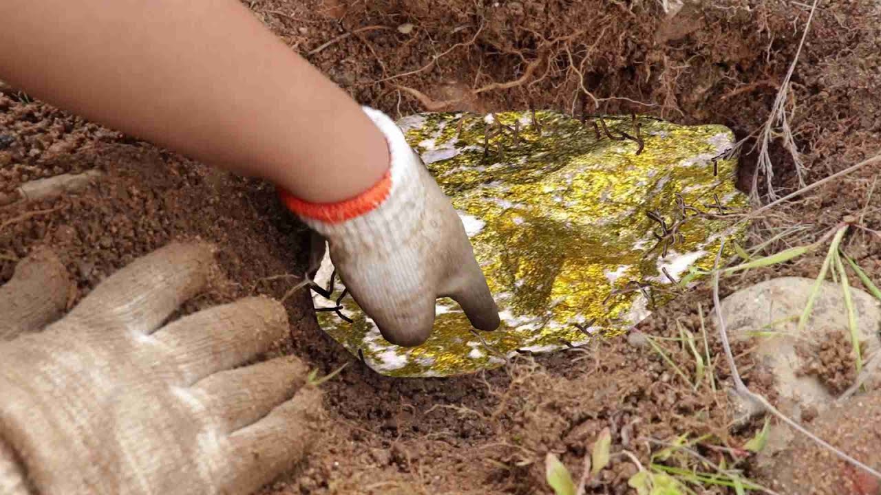 Treasure hunting with metal detection/Digging for treasure in the wild ...