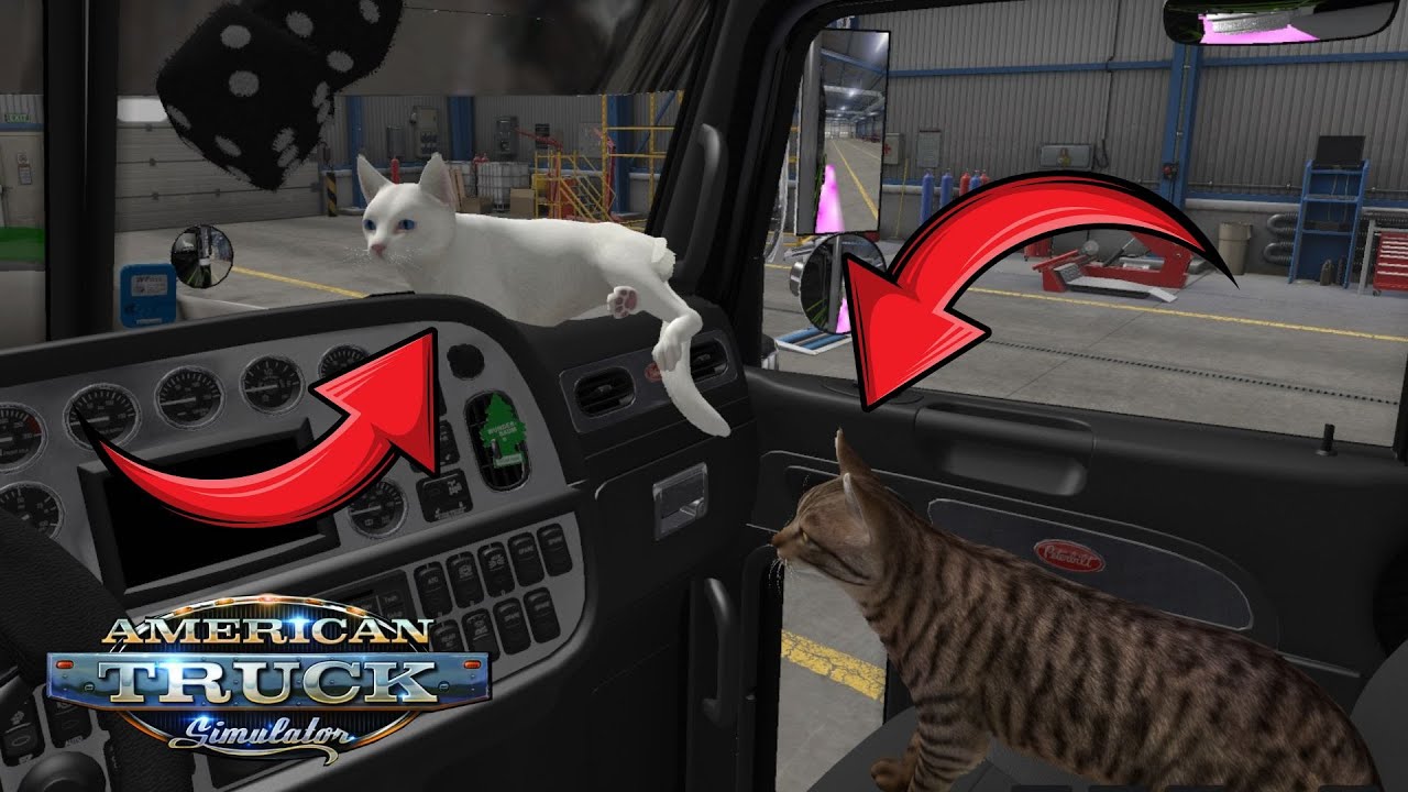 Gatos animados mascotas en tu trailer | mod review descarga gratis ...