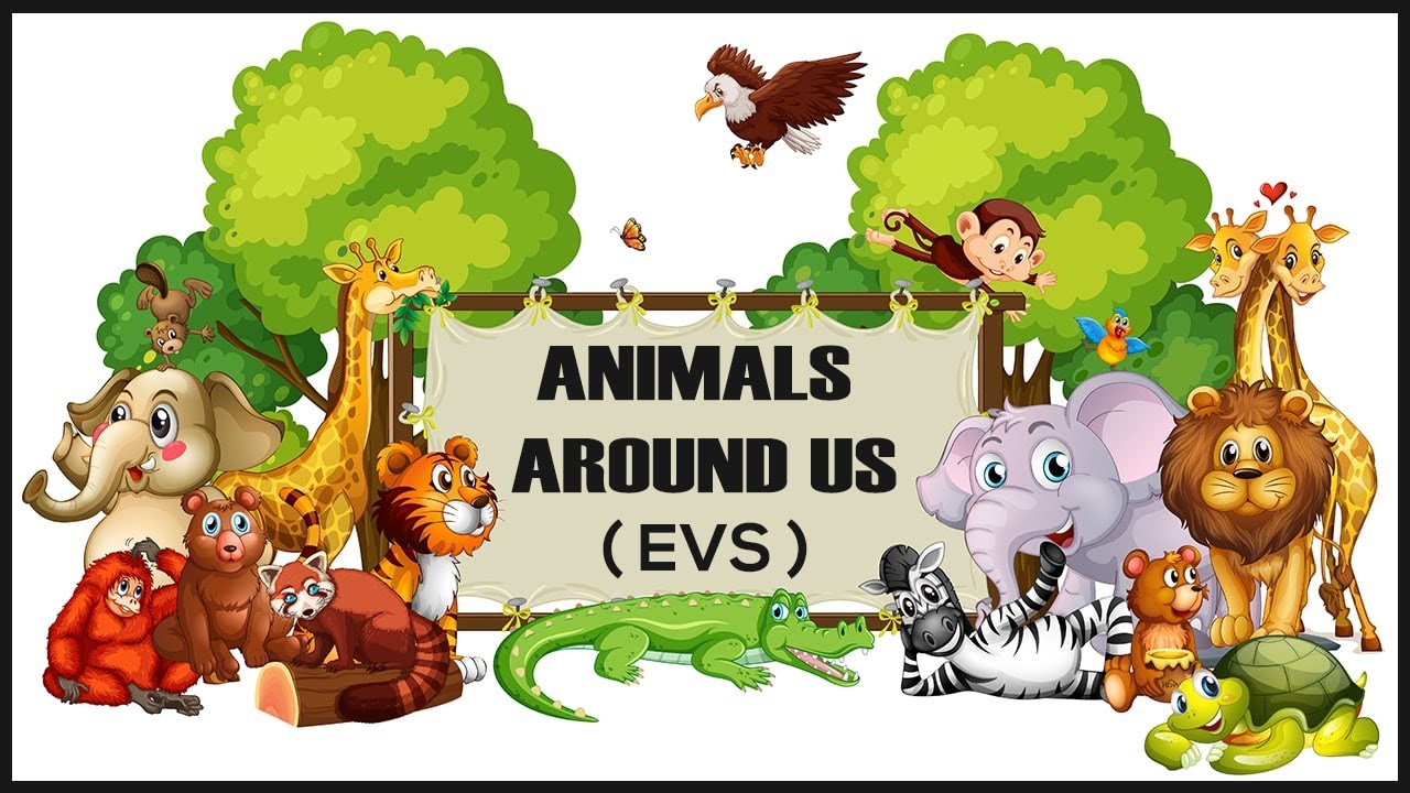 Animals around us class 2 evs | Video1 | pet animals and wild animals ...