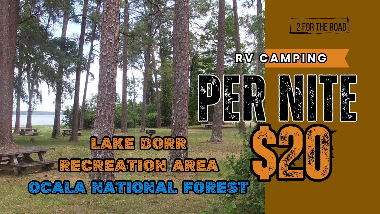 Cheap Camping $20 Bucs Per Nite Lake Dorr Recreation Area in Ocala ...