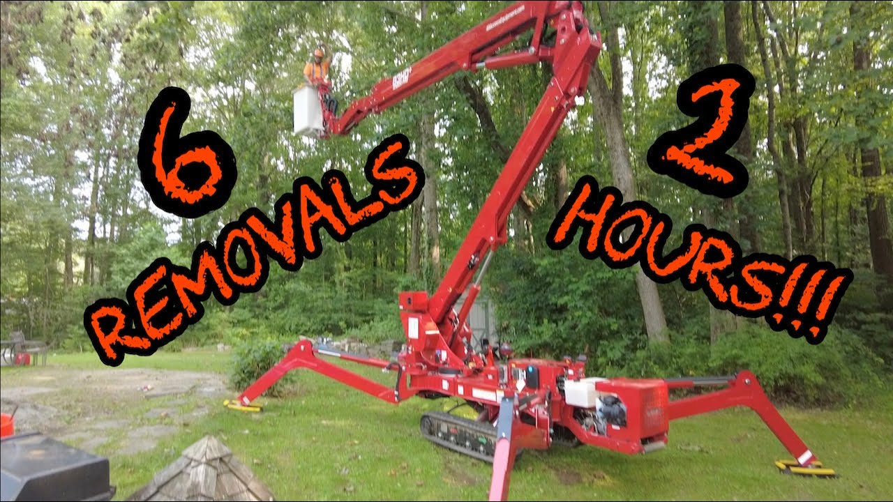 #399 Removing 6 Trees in 2 Hours with a Spider Lift - YouTube