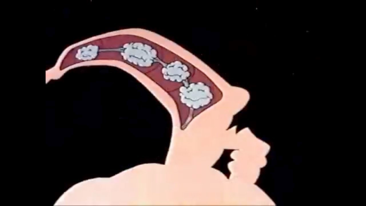 Earthworm Jim's Brain Meme - YouTube