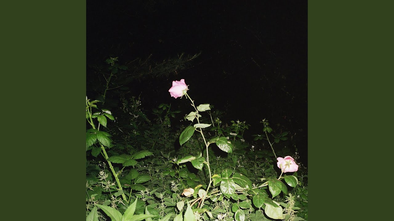 laters//outro - YouTube