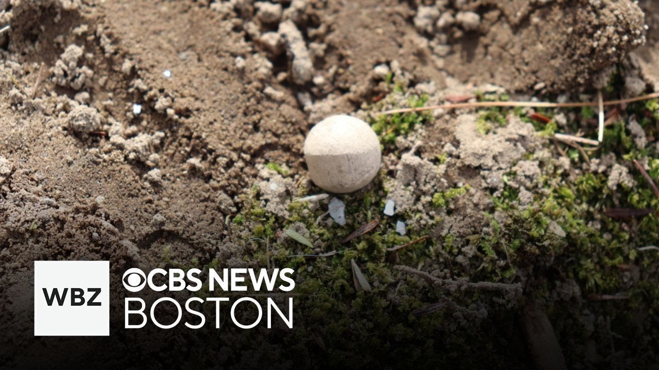 Musket balls from "Shot Heard Round the World" found in Massachusetts ...