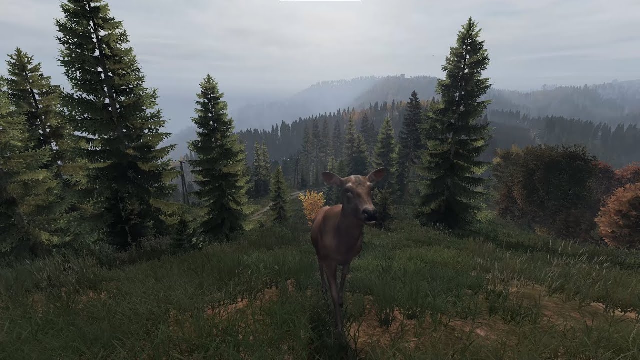 10 minutes of Nature / Wildlife / Ambience DayZ (deer encounter) - YouTube