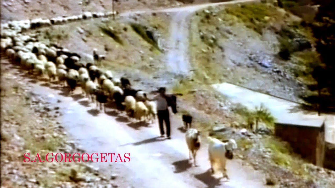 ΜΗΤΡΟΥΛΗ Μ', ΠΟΥΝ' ΤΑ ΠΡΟΒΑΤΑ - ΚΩΣΤΑΣ ΜΠΑΤΑΤΟΛΗΣ - ΣΩΤΗΡΗΣ ΣΓΟΥΡΟΣ-T.R ...