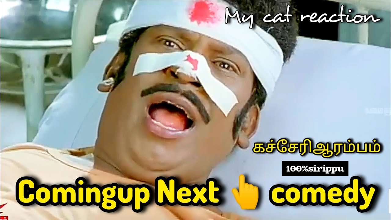 Next video ⏭️ vadivelu thermometer eating Comedy my cat reaction ...