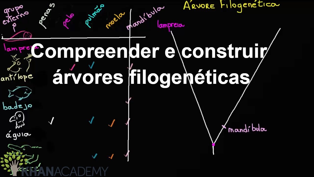 Compreender e construir árvores filogenéticas |A evolução e a árvore da ...