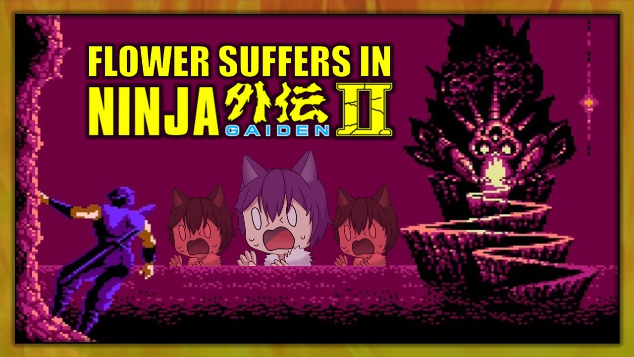 Flower Suffers in Ninja Gaiden 2 - YouTube