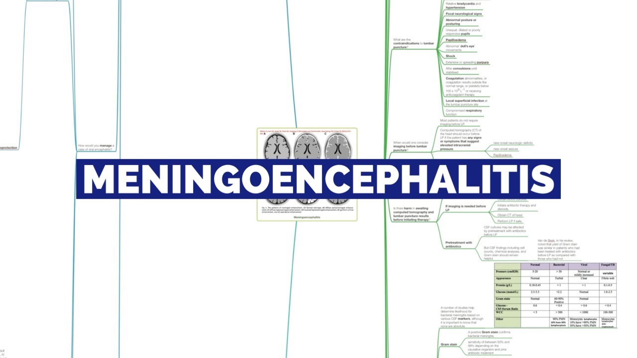 MENINGOENCEPHALITIS - YouTube