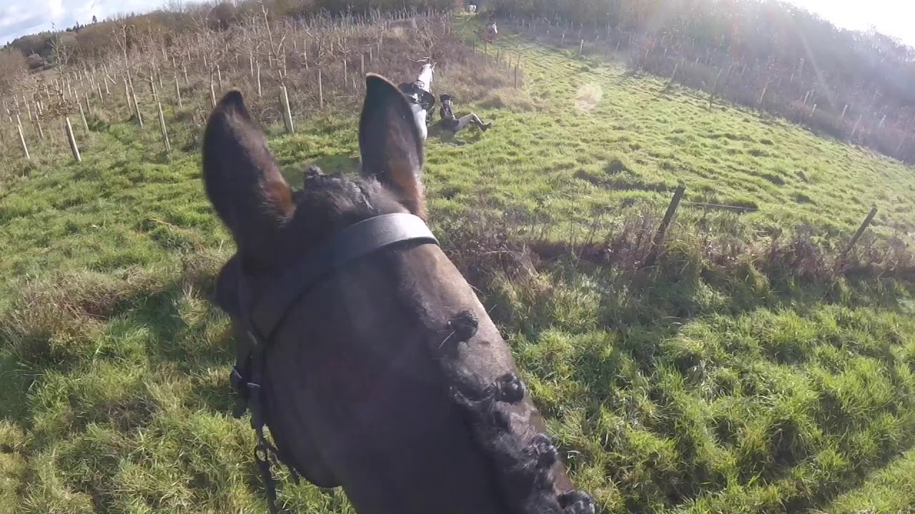 Portman and Wilton Hunt 25/11/17 - YouTube