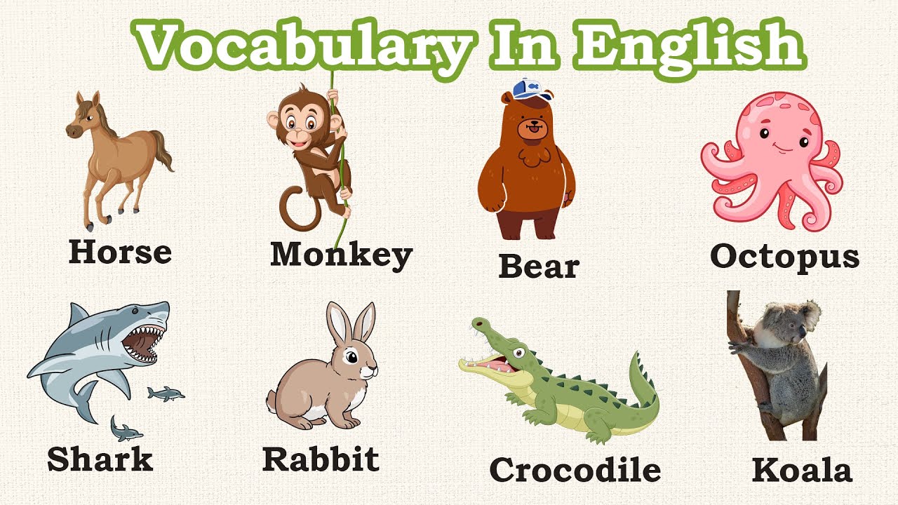 English Vocabulary | Animals Vocabulary | Listen and Practice - YouTube