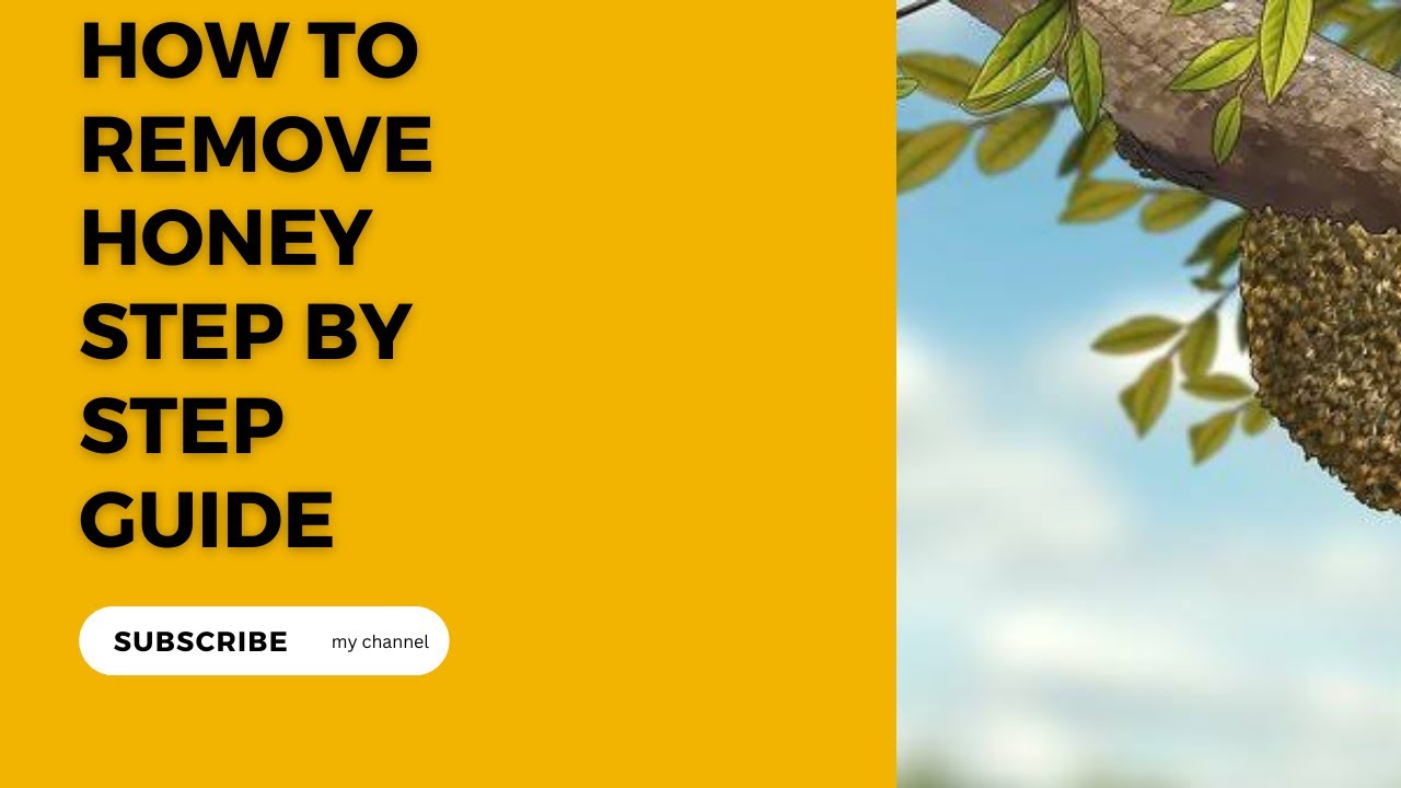 How to extract honey 🍯 step by step guide #pakistan #honeybee #youtube ...