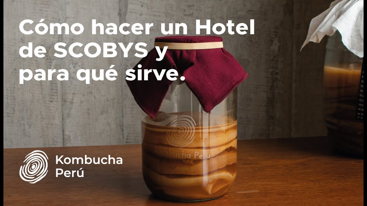 Cómo hacer un Hotel de SCOBYS y para qué sirve. - YouTube