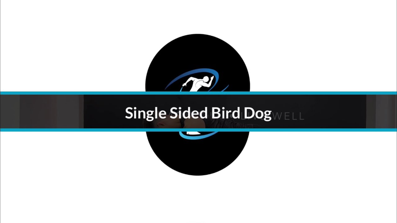 Single Sided Bird Dog - YouTube