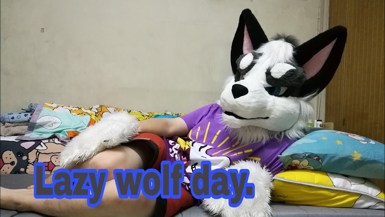 Lazy wolf day. - YouTube